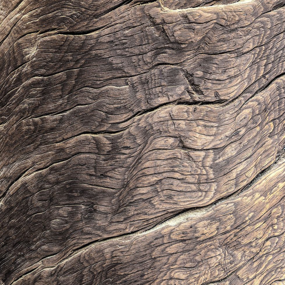 Precious Wood - Carlex Vehicles