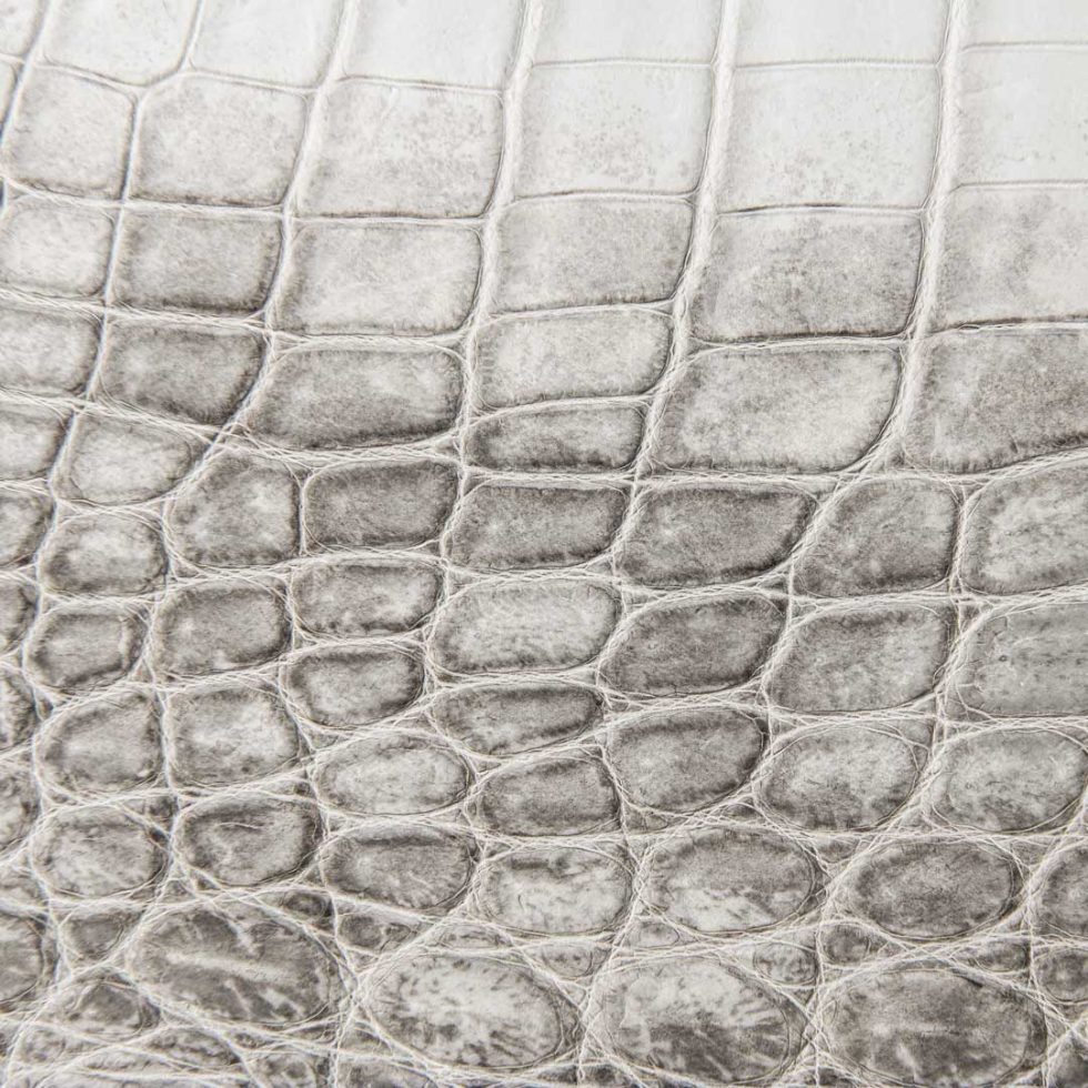 Luxury Leathers - Carlex Vehicles