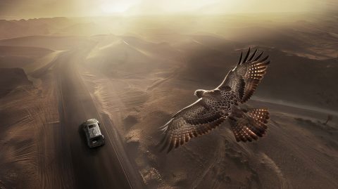 G-Falcon One of One - Carlex Vehicles