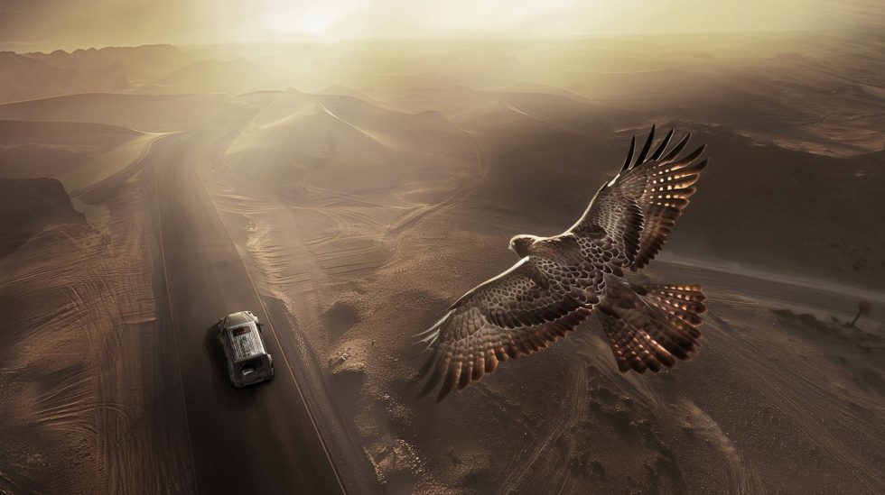 G-Falcon One of One - Carlex Vehicles