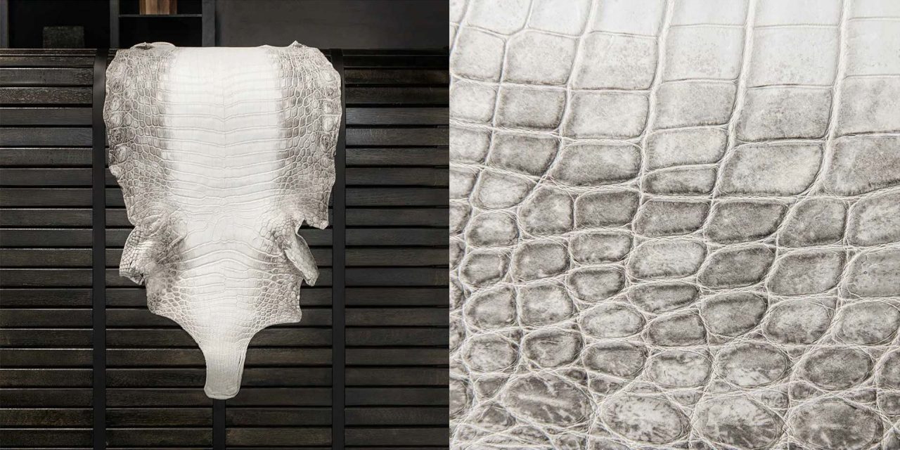 G-Class One of One Modifications